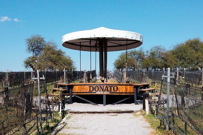 Visit 1 Cheese Factory and 2 Vineyards, starting from Querétaro - What to Expect on This Cheese and Wine Tour from Querétaro