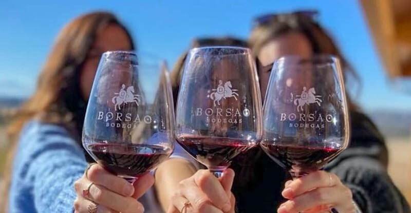 Visit 2 wine cellars, a wine museum and a traditional meal - Key Points