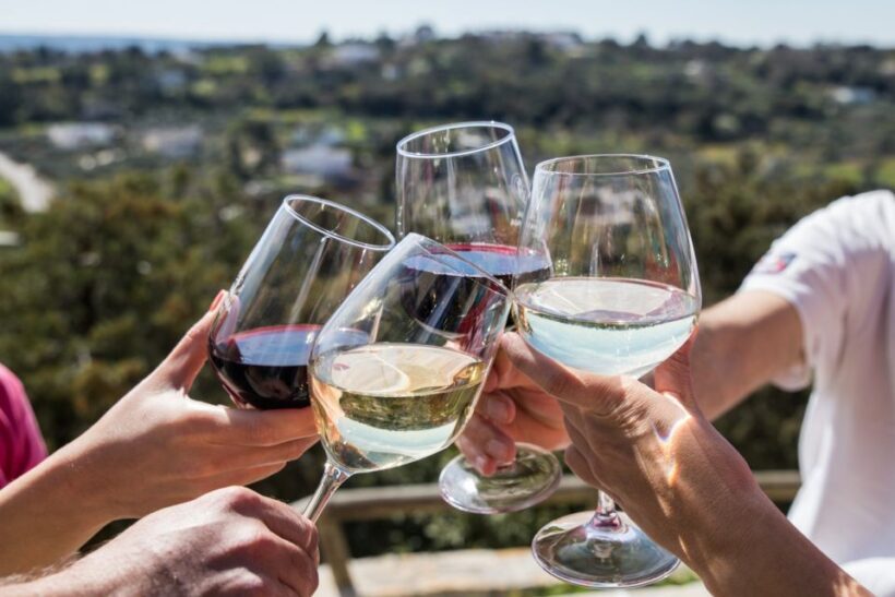 Visit a winery and an oil mill in Cisternino - Key Points