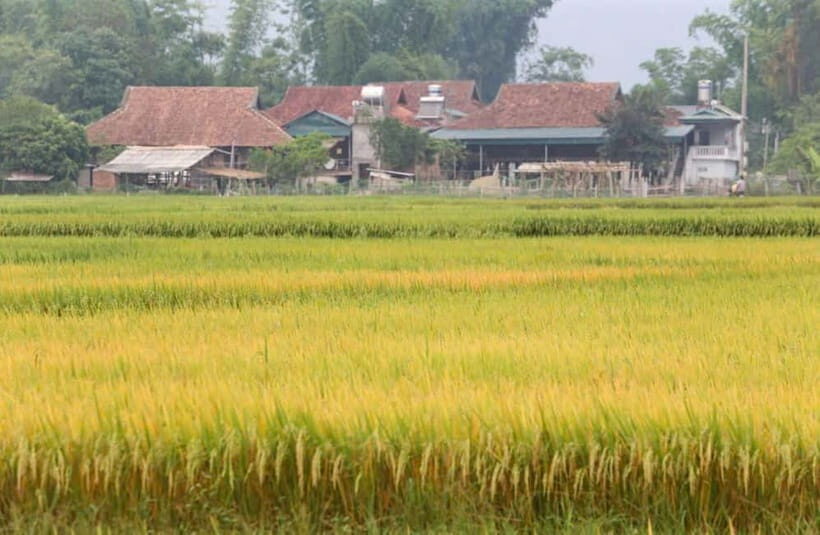 Visit all place in Dien Bien Phu 1 day - Private tour by car - Key Points