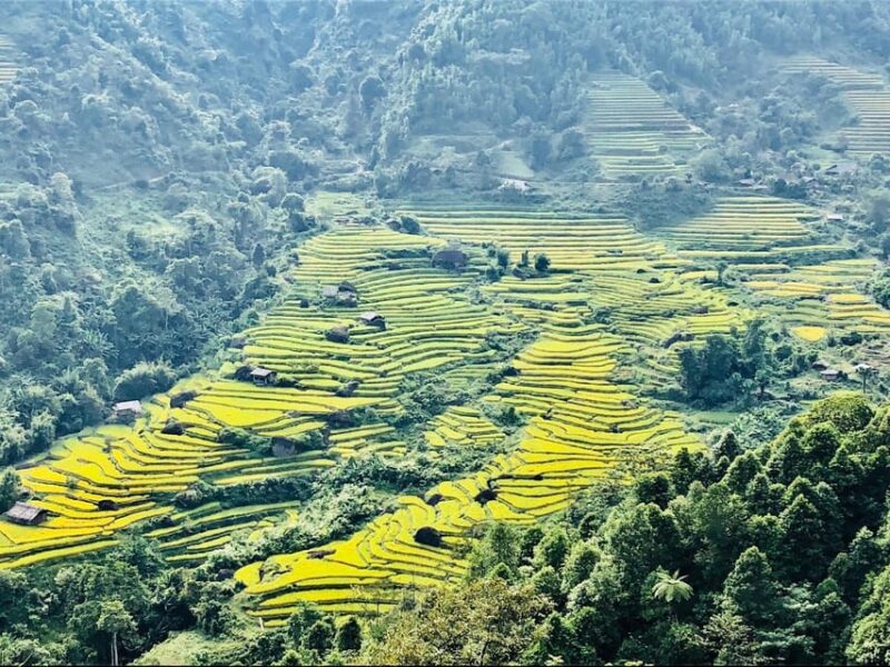 Visit all place in Sapa by car (Start from Ha Noi by bus) - Final Thoughts: Who Should Consider This Tour?