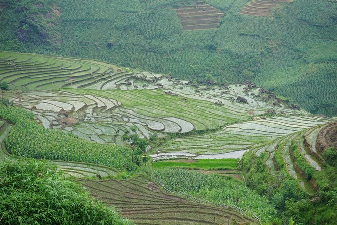 Visit all place in Sapa in 1 day with easy riders - Practical Details and What to Expect