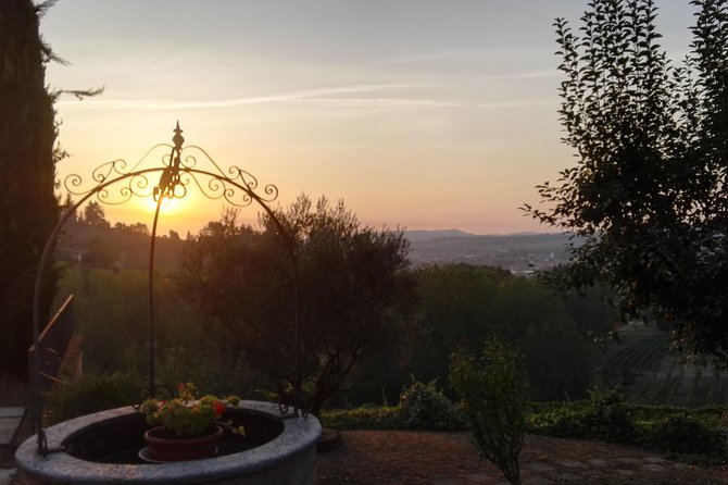 Visit among vineyards and wine cellar with wine tasting in Nizza Monferrato - Practical Details