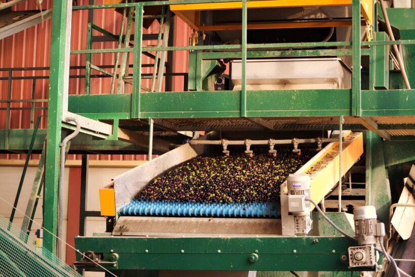 Visit an almazara + extra virgin olive oil tasting: Baeza - Discover the Art of Olive Oil in Baeza: A Detailed Review of the Almazara Visit and EVOO Tasting