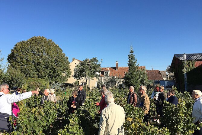 Visit and Chablis wine tasting at Domaine Clotilde Davenne in English - Why This Tour Works Well