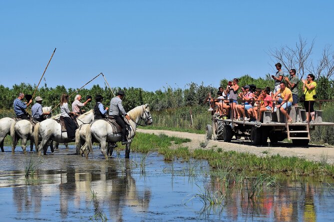 Visit and Discovery in the Heart of the Camargue - Discovering the Manade La Grand Ponche