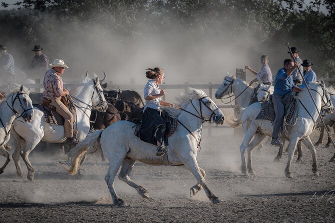 Visit and Discovery in the Heart of the Camargue - Taking in Camargue Culture