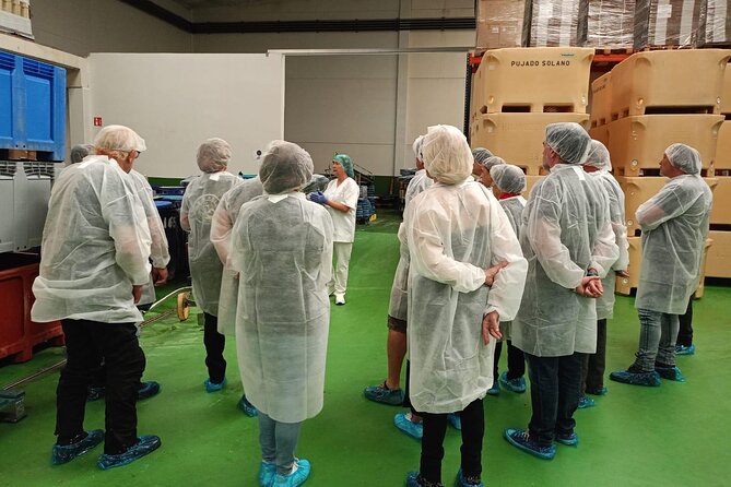 Visit and Gastronomic Experience of the Santoña Anchovy Factory - Key Points