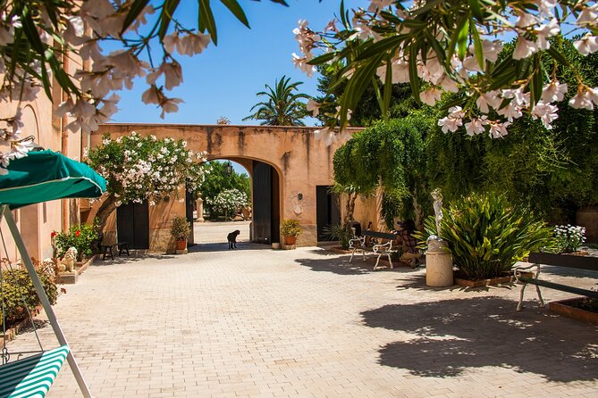 Visit and Private Tasting of EVO Oil and Organic Wine - Booking Information