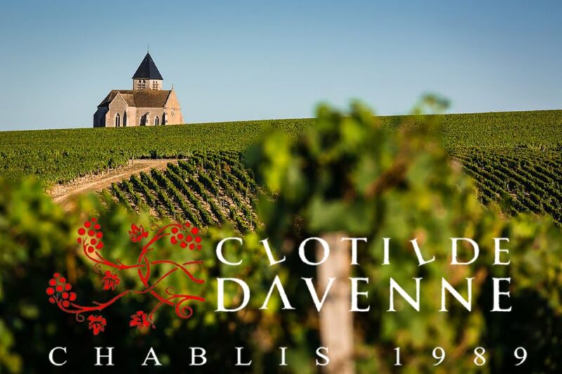 Visit and Tasting at Chablis Clotilde Davenne - Discovering the Chablisian Landscape