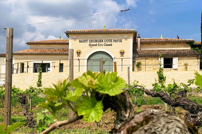 Visit and Tasting Château Saint-Georges Cote Pavie, Grand Cru Classé - Key Points