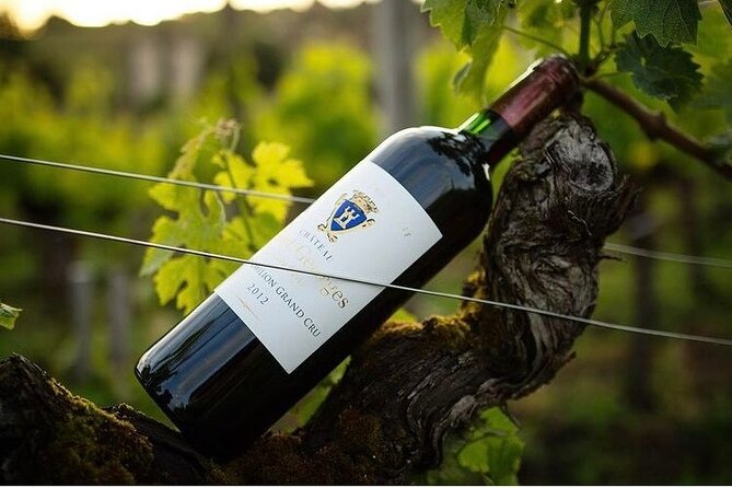 Visit and Tasting Château Saint-Georges Cote Pavie, Grand Cru Classé - Guest Reviews and Feedback