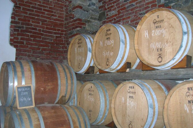 Visit and tasting of 4 D.O.C.wines Fontechiara - Key Points