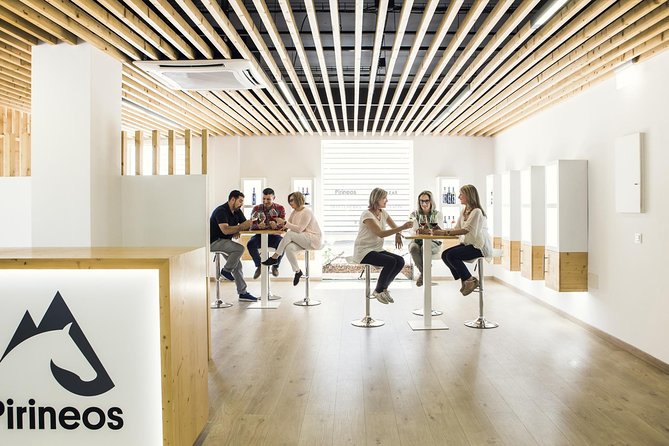 Visit and wine tasting at BODEGA PIRINEOS - Authenticity and Reviewer Insights