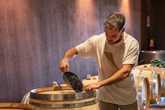 Visit and Wine Tasting at Tenuta La Cà - Visiting the Winery