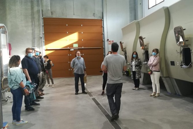 Visit and Wine Tasting at the Territorio Luthier Winery - Exploring the Wine Selection