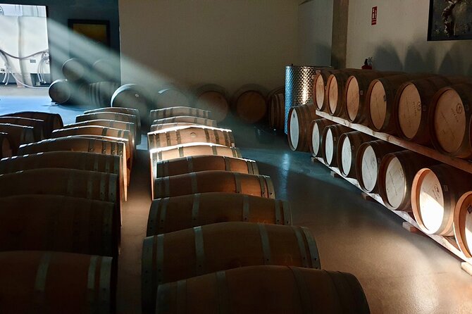 Visit and Wine Tasting at the Territorio Luthier Winery - Meeting Point and Transportation