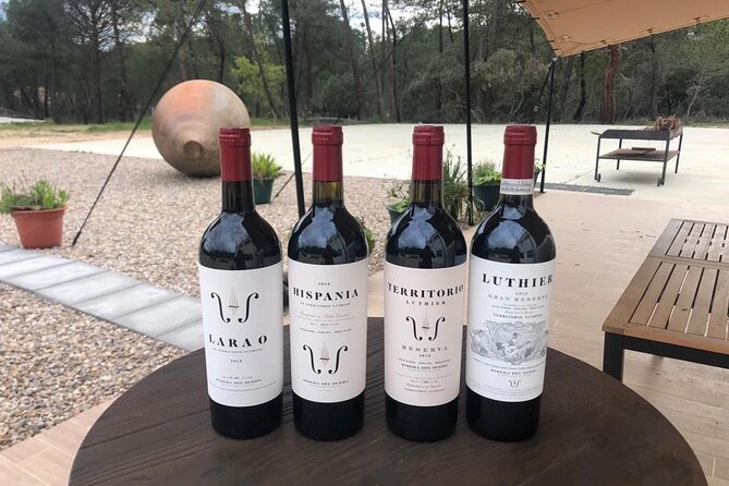 Visit and Wine Tasting at the Territorio Luthier Winery - Booking Information