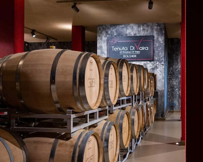 Visit and wine tasting in the heart of the Bolgheri Doc - Introduction