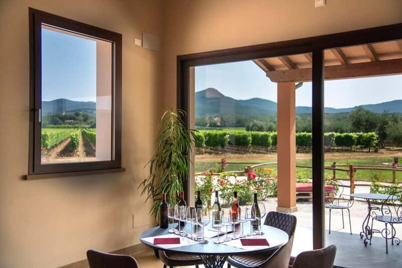 Visit and wine tasting in the heart of the Bolgheri Doc - Key Points