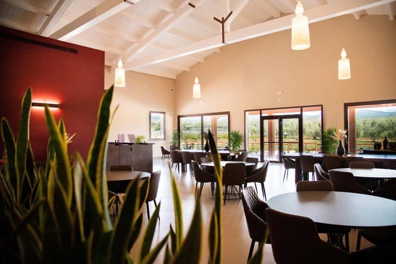Visit and wine tasting in the heart of the Bolgheri Doc - The Itinerary in Detail