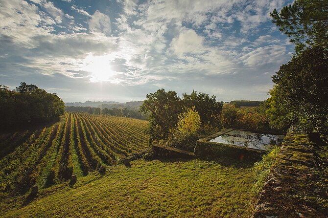 Visit and Wine Tasting: the Musketeers Wine - Accessibility and Amenities: Catering to Diverse Travelers