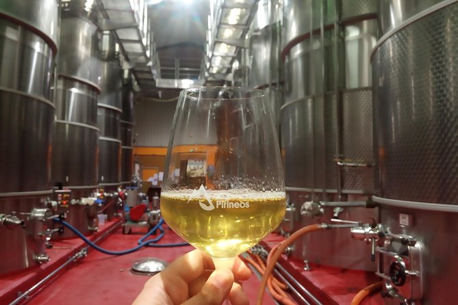 Visit and Wine Tasting With Sausage and BODEGA PIRINEOS Cheese - Accessibility and Inclusivity