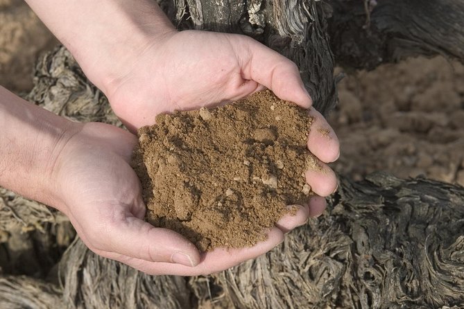 Visit and Wine Tasting With Sausage and BODEGA PIRINEOS Cheese - Pricing and Booking Information