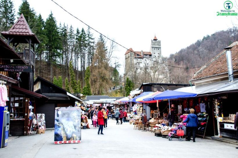 Visit Bear Sanctuary and Bran Castle from Brasov - Key Points