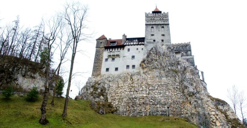 Visit Bear Sanctuary and Bran Castle from Brasov - Practical Details and Tips