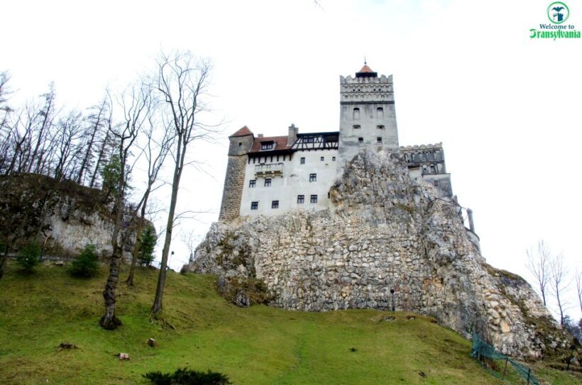 Visit Bear Sanctuary and Bran Castle from Brasov - FAQ