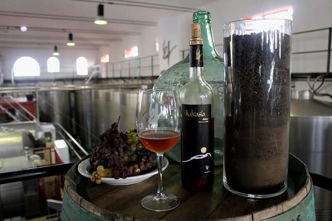 Visit Bodegas Teneguía Winery in La Palma With Wine Tasting - Discovering the Volcanic Terroir of La Palma