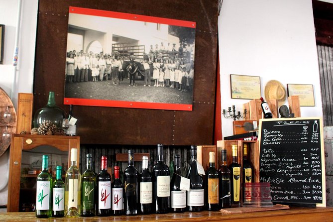 Visit Bodegas Teneguía Winery in La Palma With Wine Tasting - Grape Pressing and Bottling: Hands-On Experience