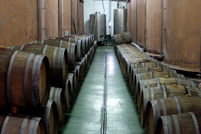 Visit Bodegas Teneguía Winery in La Palma With Wine Tasting - Booking Details and Flexible Payment Options