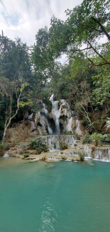 Visit buffalo farm, cooking-class forest, Kuang Si waterfall - Who Should Consider This Tour?