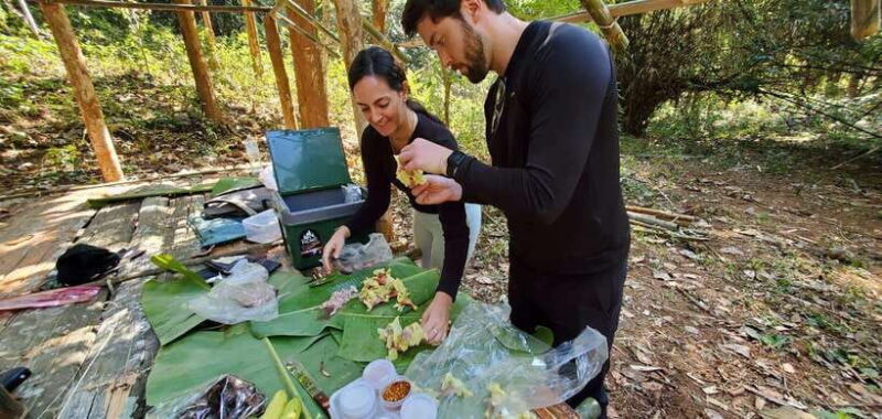 Visit buffalo farm, cooking-class forest, Kuang Si waterfall - The Sum Up