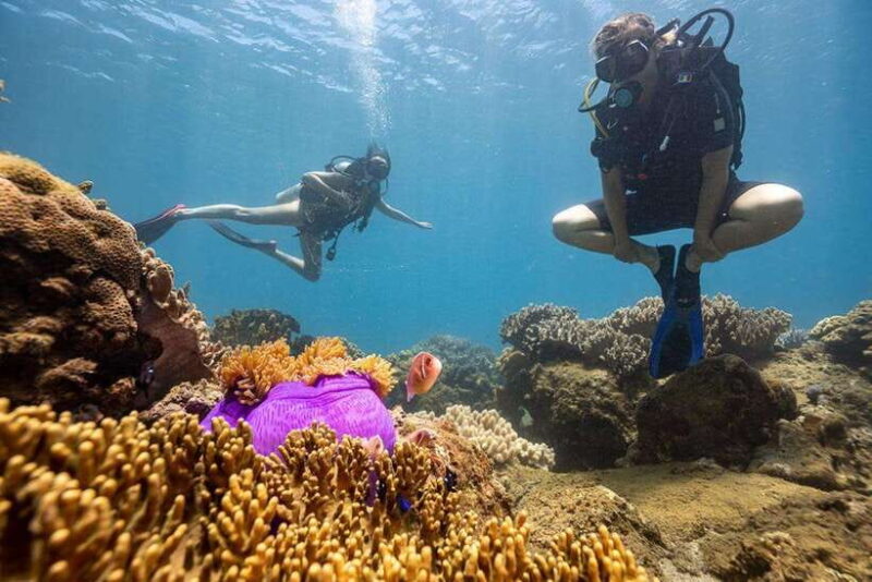 Visit Cham Islands & Snorkelling & Scuba Diving - FAQs