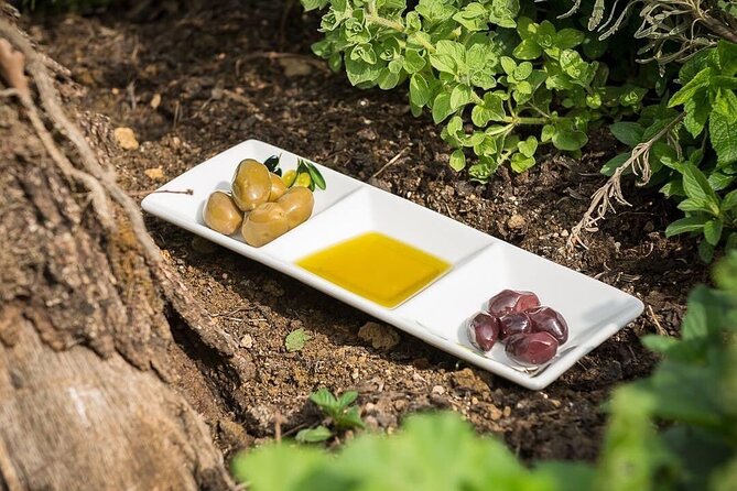 Visit Corfu Private Tour - The Best Way to Discover Corfu - Guest Experiences and Feedback