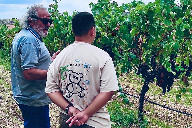 Visit Cuenca and a Vineyard in Spanish Tuscany From Madrid - Highlights of Cuenca