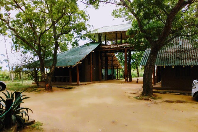 Visit Ella and Udawalawe Safari - 2 Days, All Inclusive - Practical Details and what You’ll Experience