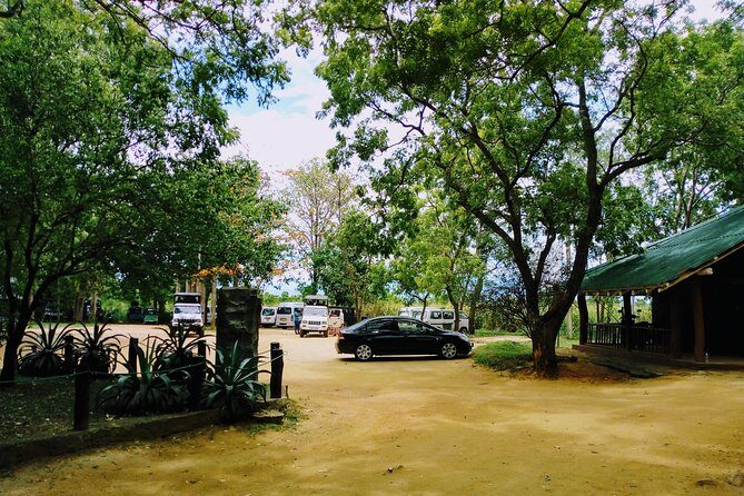 Visit Ella and Udawalawe Safari - 2 Days, All Inclusive - Who Is This Tour Best For?