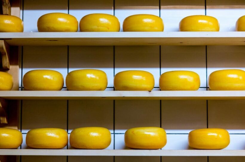 Visit family farm and enjoy cheese degustation - An In-Depth Look at the Family Farm Cheese Tour