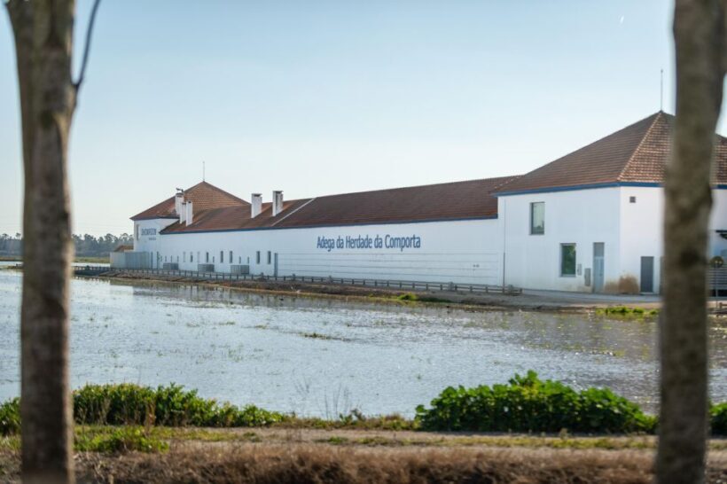 Visit Herdade da Comporta Winery - Key Points