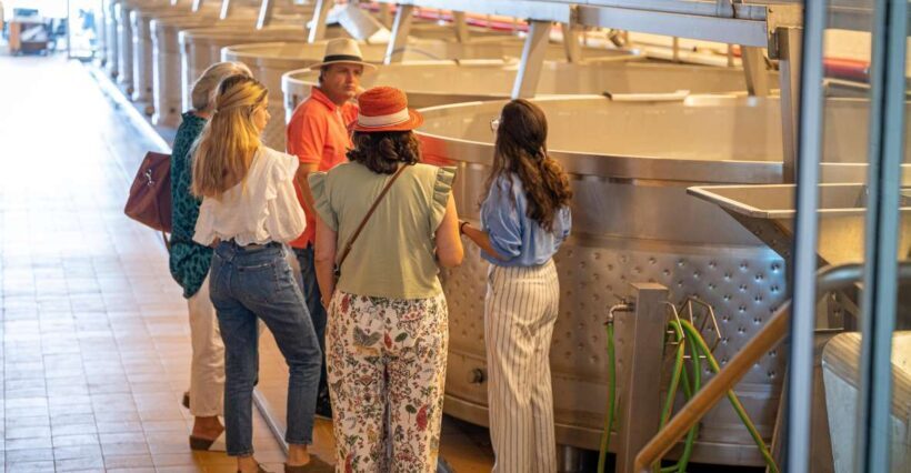 Visit Herdade da Comporta Winery - Introduction to the Herdade da Comporta Winery Tour