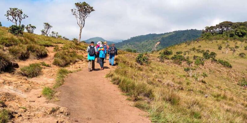 Visit Horton plains and Nuwara Eliya from Ella - Detailed Breakdown of the Tour