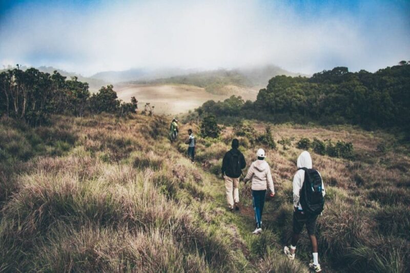 Visit Horton plains and Nuwara Eliya from Ella - The Sum Up