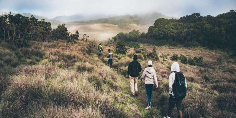 Visit Horton Plains & scenic Train ride from Ella - Exploring Horton Plains: Landscapes & Landmarks