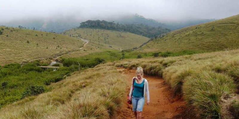Visit Horton Plains & scenic Train ride from Ella - What’s Included & What to Consider