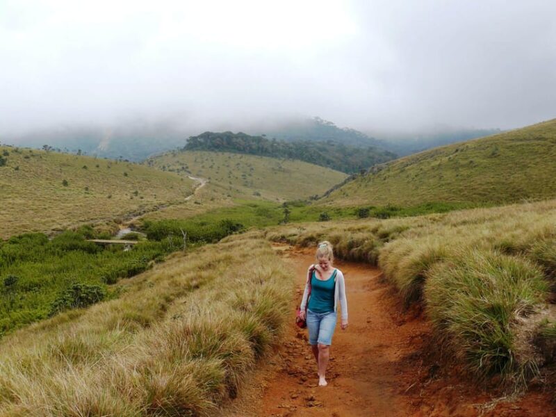 Visit Horton Plains & scenic Train ride from Ella - Who Will Love This Tour?