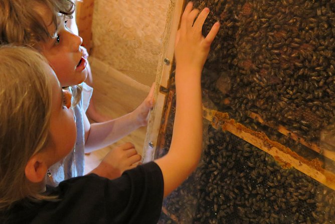 Visit - Immersion in the Heart of the Bee World! - Traveler Reviews and Ratings
